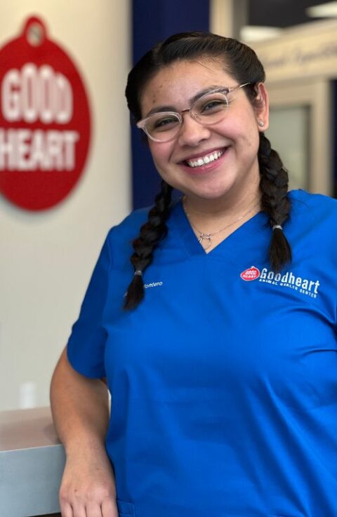 Veterinarian In Denver, CO 80206 – Goodheart Animal Health Center ...