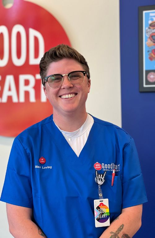 Veterinarian In Denver, CO 80206 – Goodheart Animal Health Center ...